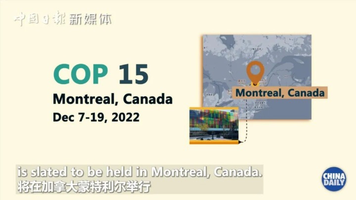 这些会议，主题不一样，怎么都叫COP啊？ - 中国日报网